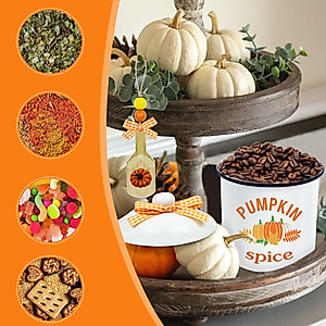 Fall decor - Pumpkin Spice Ceramic Canister with Wooden Beads Spoon Fall Decorations for Home Farmhouse Table Autumn Thanksgiving Tiered Tray, Candy Holder with Lid for Cookie Snacks House Warming