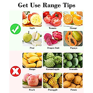 MOVNO Apple Slicer 12 Slices, Home Kitchen 12-Blade Stainless Steel Apple Slicer Corer Cutter, Sturdy and Sharp