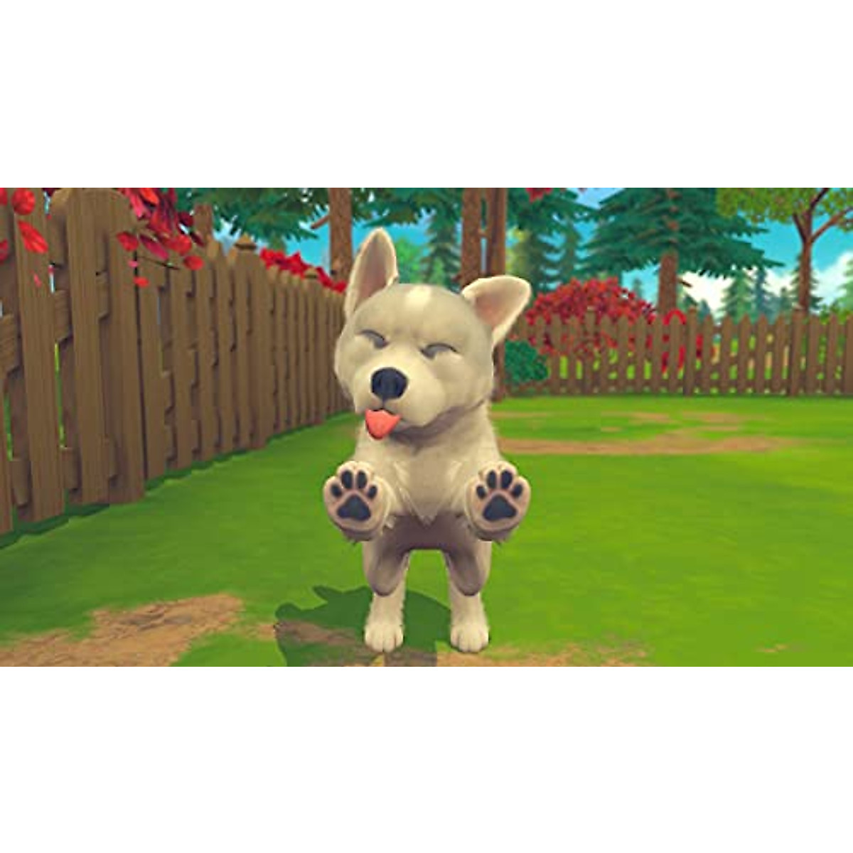 My Universe: Puppies and Kittens Nintendo Switch