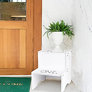 Kids 2-Step Wood Step Stool White Two Step Children's Stool with Handles Dual Height Wooden Toddler Step Stool for Kids Mini Wooden Stepping Stand for Room Kitchen