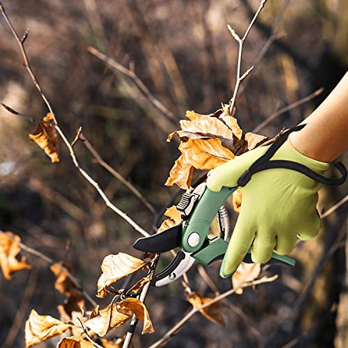 Nevlers 8" Anvil Pruning Shears for Gardening | Garden Clippers with Stainless Steel Blades & 8mm Cutting Capacity | Heavy Duty Gardening Tools | Hand Pruners for Gardening | Green Garden Pruners