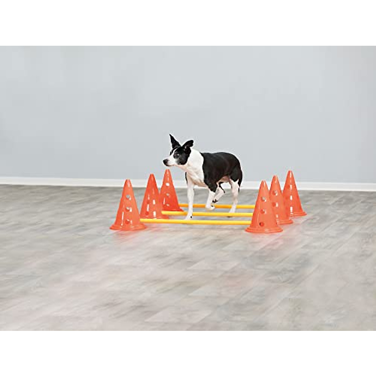 TRIXIE Dog Agility Hurdle Cone Set, Portable Canine Agility Training Set, 6 Exercise Cones with 3 Agility Rods