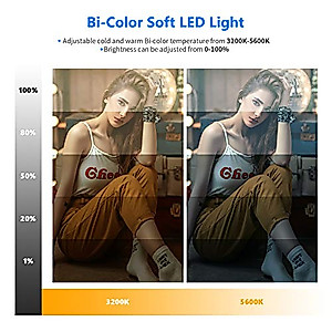 Neewer 13" Led Video Light Panel Lighting Kit, 2-Pack Dimmable Bi-Color Soft Lights with Light Stand, Built-in 8000mAh Battery, 3200K~5600K CRI 95+ 2400Lux for Game/Live Stream/YouTube/Photography
