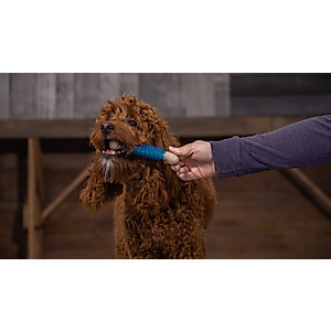 HERO | Bonetics Dental Bone | Dog Bones | Puppy Bones | Designed for Medium Dogs Up to 45 lbs (Mint Flavor)