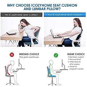 Coccyx Lumbar Support Pillow for Office Desk Chair Memory Foam Car Seat Cushion & Orthopedic Back Pillow for Sitting Help Tailbone Pain, Sciatica and Pressure Relief, Washable Cover