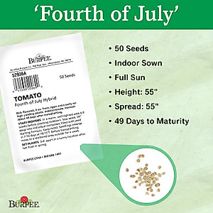 Burpee 'Fourth of July' Hybrid | Red Slicing Tomato | 50 Seeds