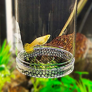 balacoo Net Breeding Box Aquarium Fish Hatchery Isolation Net Aquarium Fish Breeder Tank Isolation Hatching Net Fish Hatchery Breeder Box Aquarium Separation Net