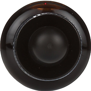 HERB PHARM Organic Ginkgo Extract, 1 FZ