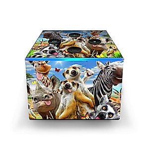 Animal Kingdom in Africa Sun - Skin Decal Vinyl Wrap for Amazon Fire TV Cube