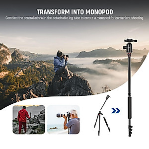 NEEWER 77 inch Camera Tripod Monopod for DSLR, Phone with 360° Panoramic Ball Head, 2 Axis Center Column, Arca Type QR Plate, Compact Aluminum Lightweight Travel Tripod 34lb Max Load, Bag Included