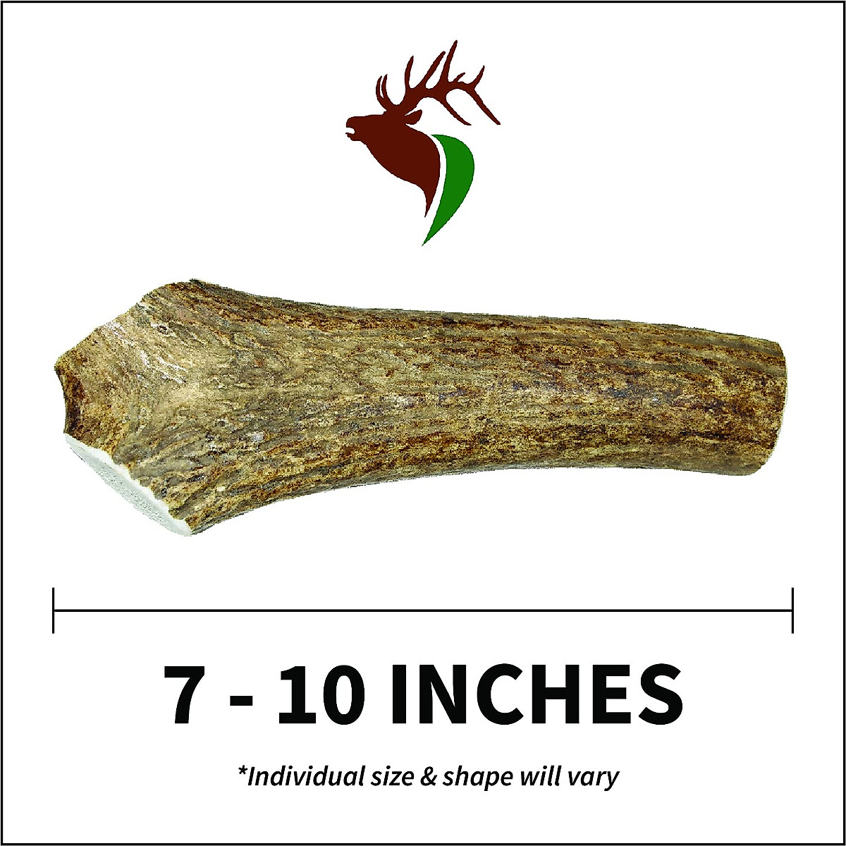 Elkhorn Premium Chews - Large Whole Single Pack (for 35-65 lb Dogs) Premium Grade Elk Antler for Dogs (1 Piece) Sourced in The USA