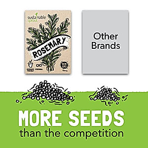 10-Pack Culinary Herb Seeds, Non GMO Herb Garden Seeds with Parsley Seeds, Basil Seeds, Sage Seeds, Chives Seeds, Cilantro Seeds, Rosemary, Thyme, Dill, Summer Savory & Oregano Seeds for Planting