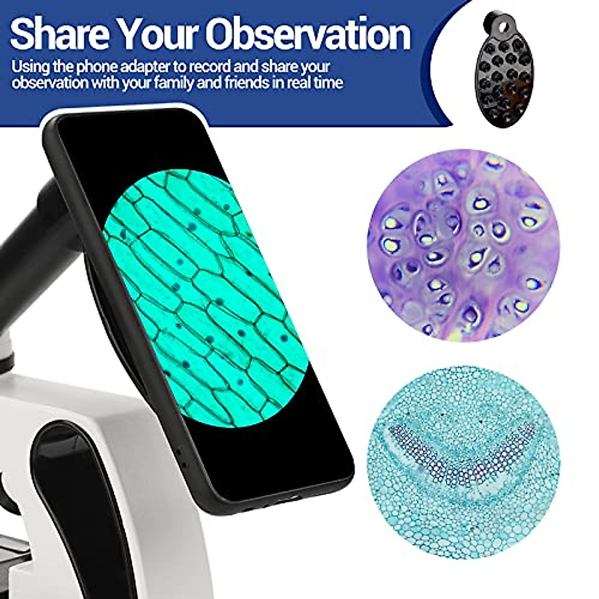 Microscope for Adults, 40~2000x Compound Monocular Microscope with Storage Bag, Slides, Phone Adapter-for School, Home Education, Science Lab