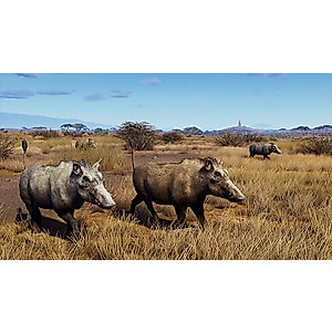 Way of the Hunter - Hunting Season One - Xbox Series X