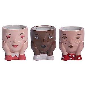 Cabilock 3pcs Ceramic Flowerpot Face Flower Vase Ceramic Indoor Planters Ceramic Head Pots for Plants Animal Succulent Planter Head Flower Pot Ceramic Pot Ceramics Head Flowerpot Flowers