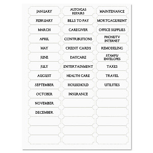 Cat Patch Bill Paying Organizer Book - Personal Account book, 9" by 12 inch, Spiral-Bound, 14 Pockets, 32 Label Stickers, Bill Tracking