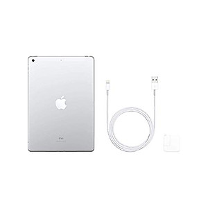 2019 Apple iPad (10.2-inch, Wi-Fi + Cellular, 32GB) - Silver (Renewed)