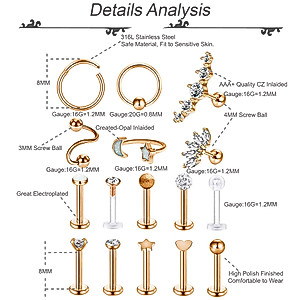 REVOLIA 16 Pcs 16G Stainless Steel Tragus Earring Cartilage Helix Single Earring Lip Rings Labret Studs Daith Rook Piercing Rose-gold