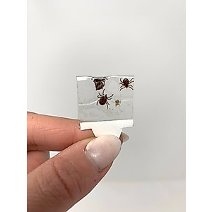 Tac-Ticks Crawling Tick Remover Patent-Pending Tick Removal Tool for Clothing, Skin, Hair, Home & Pets | Touch-Free Tick Remover for Dogs & Tick Remover for Humans | Made in The USA (1-Pack)