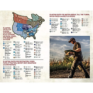 Whitetail Institute Beets & Greens Deer Food Plot Seed for Fall Planting - Blend of Sugar Beets, Kale, Turnip and Radish to Attract and Hold Deer Throughout Fall and Winter, 12 lbs (2 Acres)