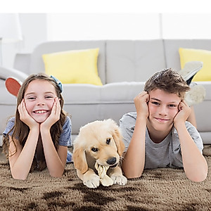 IMINROME 9x12 Fluffy Area Rugs Furry Area Rug for Living Room, Fuzzy Shag Fur Rug for Nursery Room Non-Skid Plush Throw Rug Shaggy Accent Rug for Indoor Home Floor Carpet, Coffee