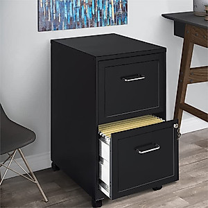 Pemberly Row 2 Drawer Metal Mobile File Cabinet in Black