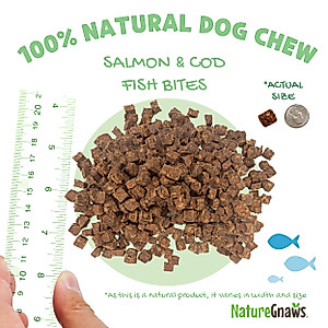 Nature Gnaws Fish Bites for Dogs - Natural Dog Treats – Premium Cod & Salmon Chewy Training Reward – 1 Lb