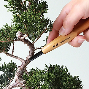 Wazakura Made in Japan Bonsai Chisel Hand Round Gouge Carving Tool 0.2 in (6 mm) for Jin Shari Making, DIY Woodcarving Knife for Experts and Beginners (Round Gouge 6 mm)