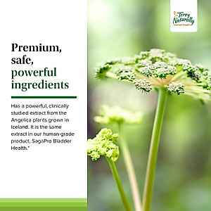 Terry Naturally Animal Health Bladder Control - 30 Capsules - 100 mg Angelica - Bladder Health & Urinary Tract Support for Dogs - Non-GMO, Canine Only - 30 Servings