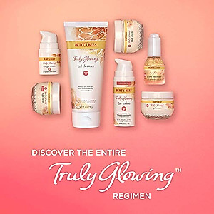 Burt's Bees Truly Glowing Moisture Bundle - Face Cleanser 6 Ounces and Night Face Cream 1.8 Ounces