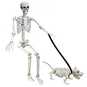 5.4Ft Halloween Life Size Human Skeletons with Dog Skeleton,Poseable Life Size Skeletons Plastic Human Bones with Movable Joints for Halloween Decoration