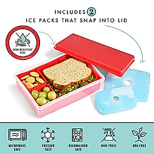 Fit + Fresh Multi-Flex Bento Box, Reusable, Customizable & Vertical Lunch Container with 2 Slim Ice Packs, Perfect for Insulated Lunch Bag, Lunch Box & More, Red