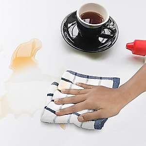 Urban Villa Dish Cloths Terry Cotton Pack of 6, Highly Absorbent Quick Drying Super Soft Premium Dish Towels for Kitchen with Hanging Loop Hand &amp; Tea Towels - 12x12 Inch, (Blue &amp; White, Checks)