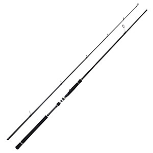 BERRYPRO Light Surf Spinning Rod Striper Fishing Rod Striped Bass Surf Rod (9'/9'6'') (9'6''-Medium (10-20lbs))