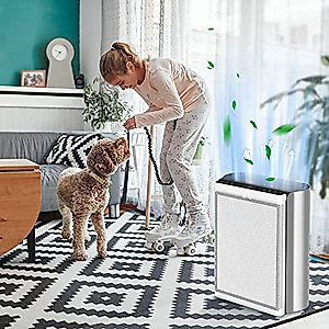 2 Pack EverestAir/EverestAir-P Replacement Filter, Compatible with LEVOIT EverestAir Air Purifier, High-Efficiency Activated Carbon Filters Filter Set