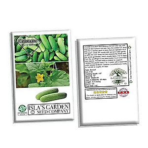 Carolina Cucumber Seeds for Planting, 100+ Heirloom Seeds Per Packet, (Isla's Garden Seeds), Non GMO Seeds, Botanical Name: Cucumis sativus, Great Home Garden Gift