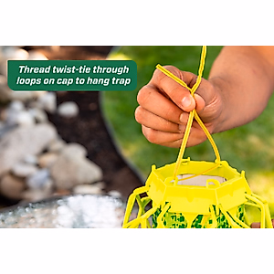 RESCUE! TrapStik for Wasps, Mud Daubers, Carpenter Bees