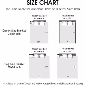 JYK Korean Style Mink Fleece Blanket 75"x87", 5 LB - 2 Ply Reversible 520GSM Silky Soft Plush Warm Blanket for Autumn Winter (Queen, Grey/Red Rose)