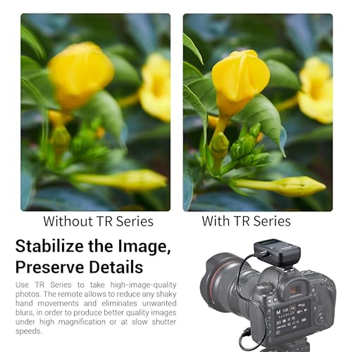 Godox TR-N1 TR-N3 Remote Shutter Release for Nikon, Wireless Shutter Release Intervalometer Compatible for Nikon Z9 Z8 Z7 Z6 Z5 D850 D800 D750 D610 F90 D7200 D7100 D5600 D3300 D90