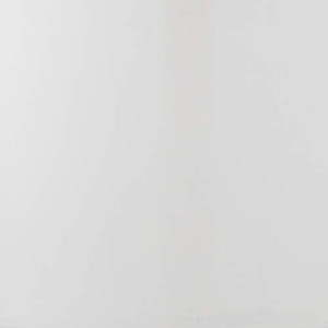 Zojirushi RDS-600 6-Liter Thermal Rice Warmer, Stainless Steel