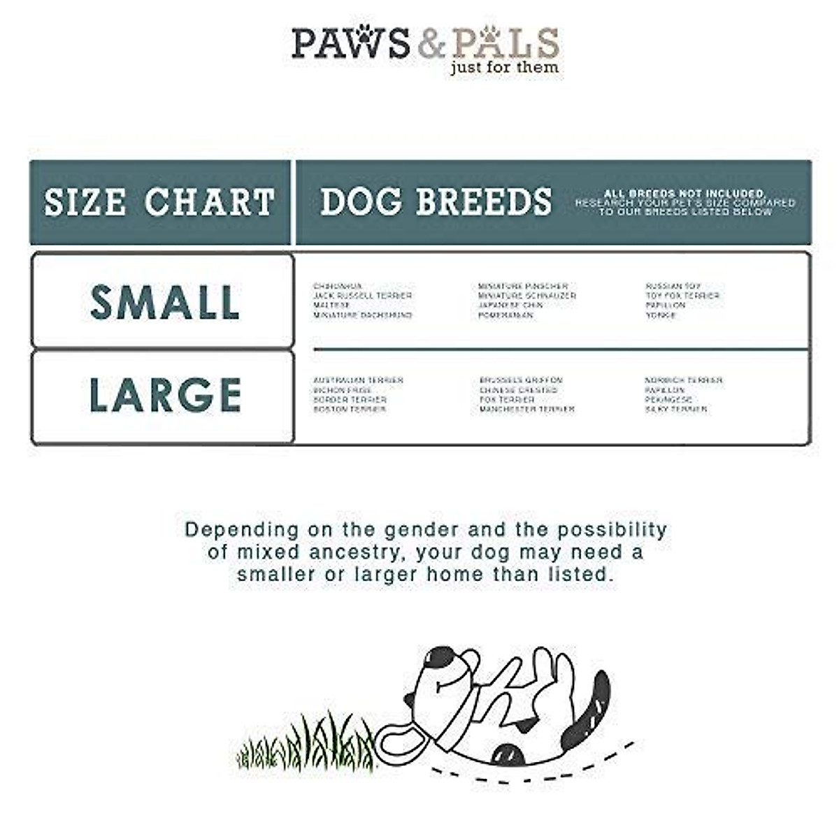 Paws & Pals Airline Approved Pet Carriers with Fleece Bed For Dog & Cat, Large, Mineral Blue