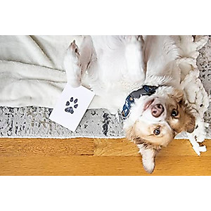 Pearhead Pet Clean-Touch Ink Pad, Medium/Large, Black Ink Pad for Cats or Dogs, Pet Owner, Pet Owner Must Have Item, Pet Memory Keepsake, for Medium to Large Pets