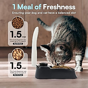 PAWISE Automatic Pet Feeder, Auto Dog Dry Food Dispenser with Timer for Cats and Dogs, Dog Automatic Feeder with Ice Pack (1 Meal)