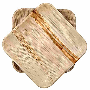 Dtocs Palm Leaf Plates 10 Inch Square 50 Pack Dinner Plate | Disposable Bamboo Plate Like Compostable Plates, Charcuterie Board, Cheese Platter | Wedding Plate Set Better Than Paper Plates