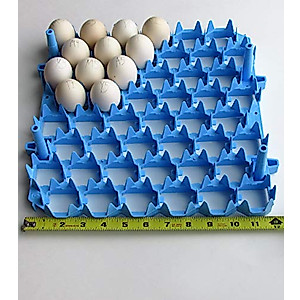 Universal Chicken Egg Trays (6 pack)