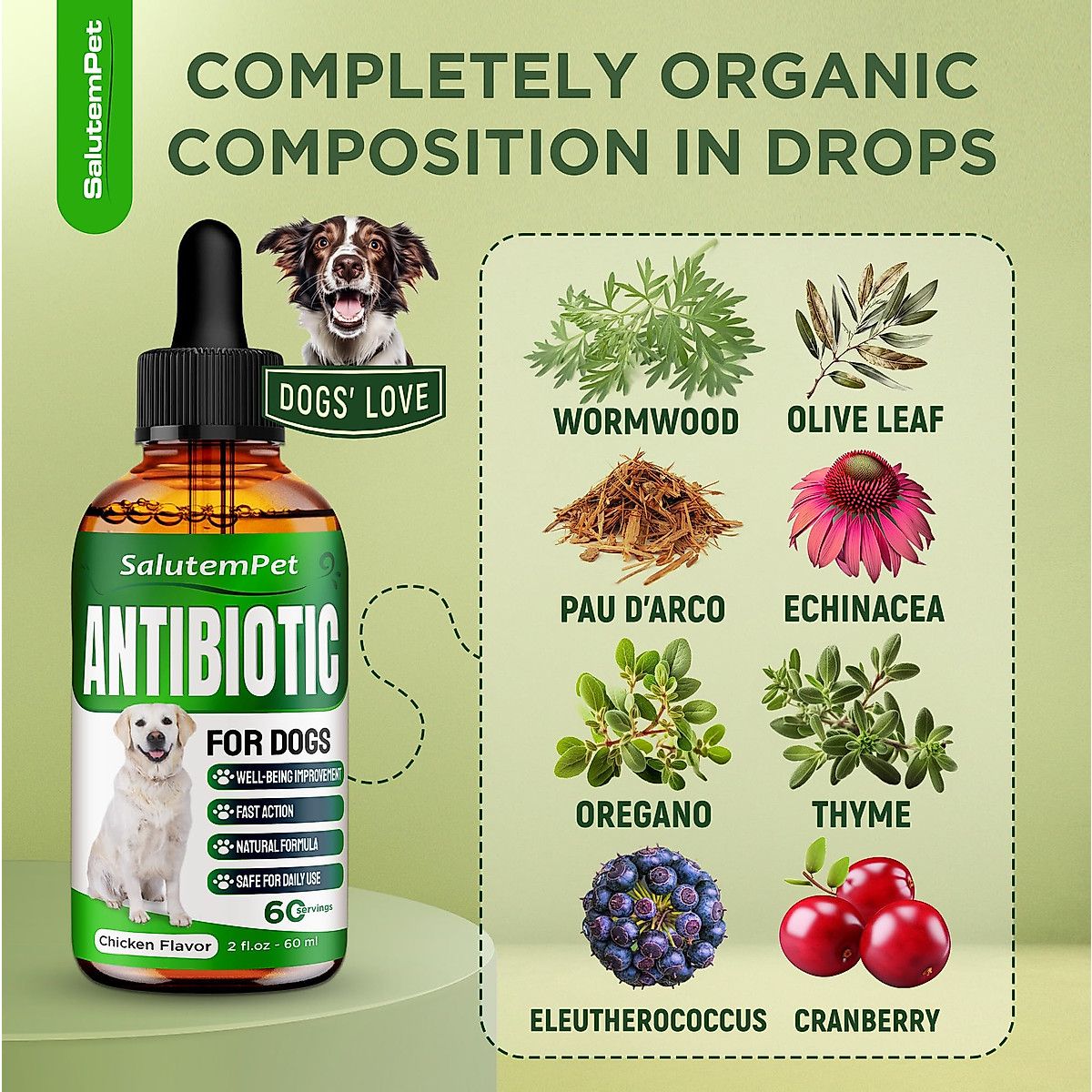 Natural Antibiotics for Dogs | Dog Antibiotics | Supports Dog Allergy Relief | Dog Itch Relief | Dog Allergy Support | Dog Multivitamin | Pet Antibiotics | Dog Antibiotics | 2 Oz