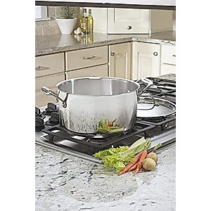 Cuisinart 744-24 Chef's Classic Stainless Stockpot with Cover, 6-Quart,Silver
