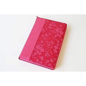 Biblia Reina Valera 1960 letra grande. Símil piel fucsia, cremallera, índice, ma nual / Spanish Bible RVR 1960. Handy Size, Large Print, Leathersoft