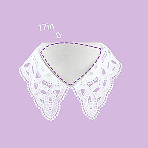 Gracelife Hollow Design Lapel False Collar Detachable Dickey Blouse Fake Half Shirt Collar for Women (White 79)