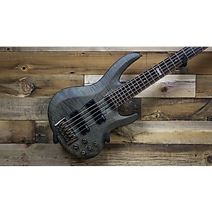 ESP LTD AP-204 - Black Satin